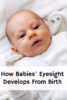 How Babies’ Eyesight Develops From Birth - Preemie Twins Baby Blog