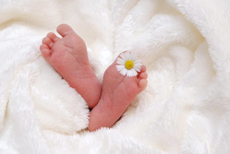 How to Send a New Baby Congratulation Flowers - Preemie Twins Baby Blog